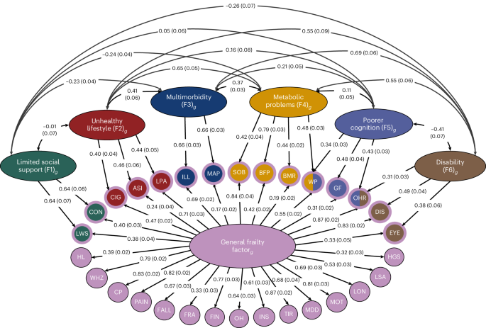 Uncovering the multivariate genetic architecture of frailty with genomic structural equation ...