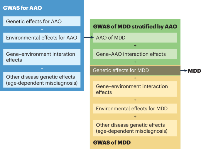 Depression genetics through the lens of age at onset | Nature Genetics