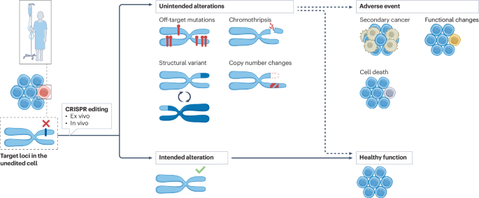 Measurement and clinical interpretation of CRISPR off-targets | Nature ...