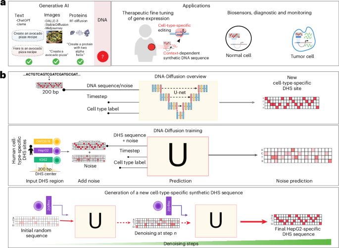 Generative AI creates synthetic regulatory DNA sequences for precision ...