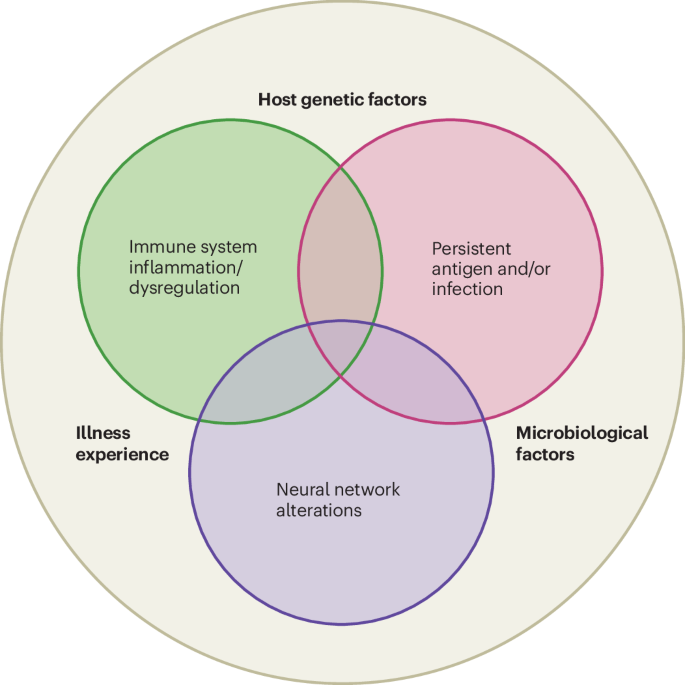 Progress on the pathway to long COVID treatments | Nature Immunology