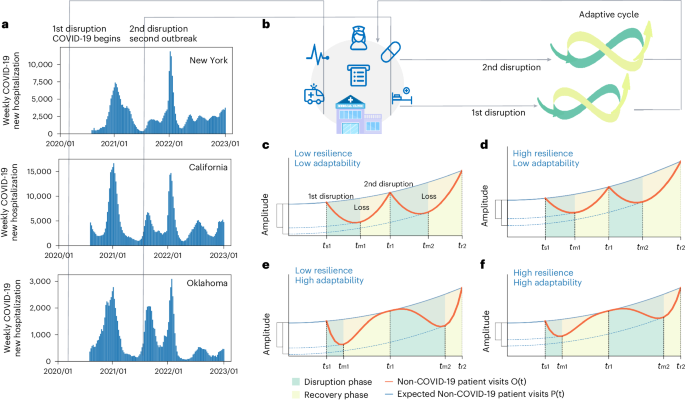 Healthcare system resilience and adaptability to pandemic disruptions ...