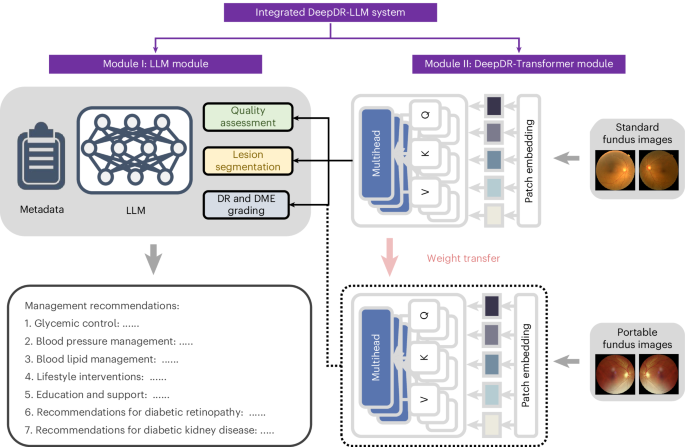 Integrated image-based deep learning and language models for primary ...