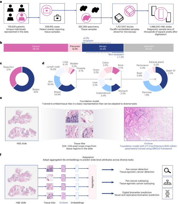 A foundation model for clinical-grade computational pathology and rare ...