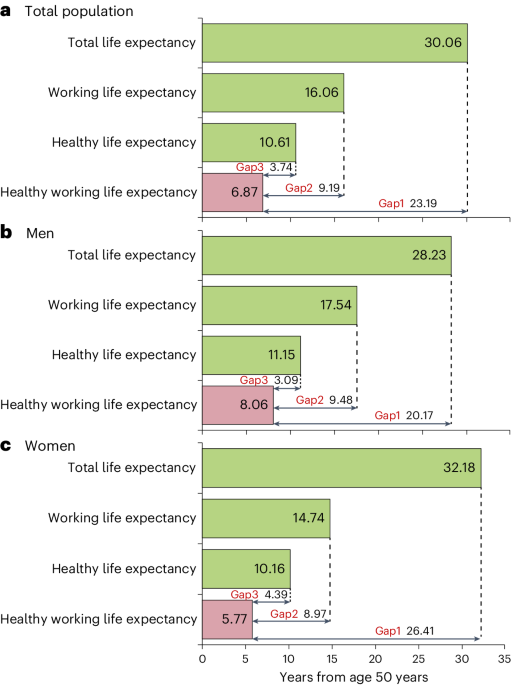 Determinants and inequities in healthy working life expectancy in China ...