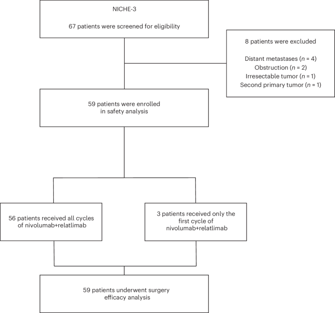Neoadjuvant nivolumab and relatlimab in locally advanced MMR-deficient ...