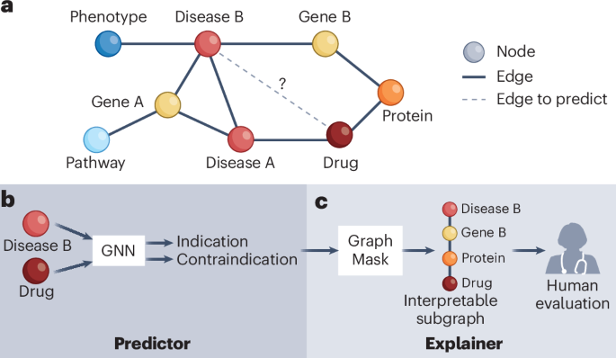 An explainable foundation model for drug repurposing | Nature Medicine
