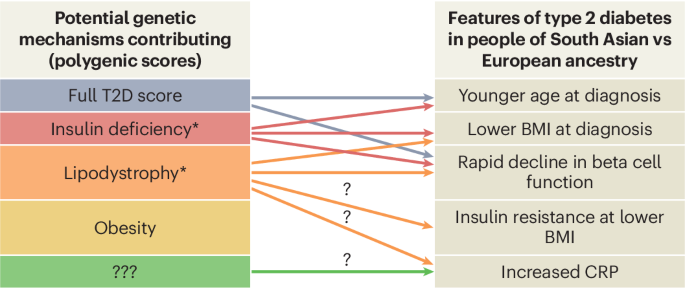 Genetic insights into global heterogeneity of type 2 diabetes | Nature ...