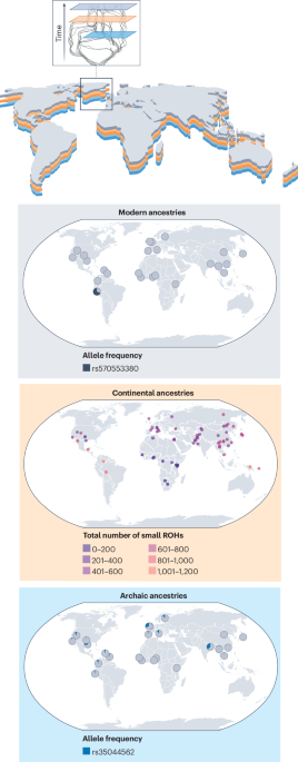 Evolution, genetic diversity, and health | Nature Medicine