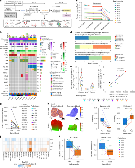 Perioperative IDH inhibition in treatment-naive IDH-mutant glioma: a ...