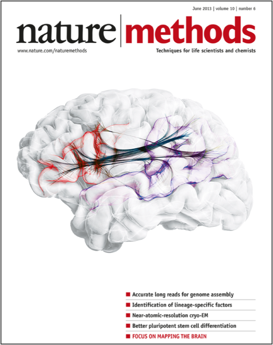 Mapping the brain: an editor’s journey | Nature Methods
