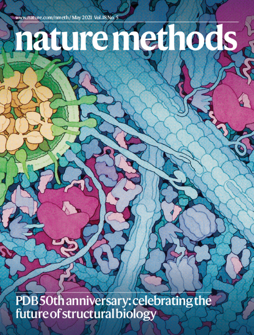 Celebrating milestones in structural biology | Nature Methods