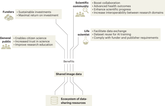 Enabling global image data sharing in the life sciences | Nature Methods