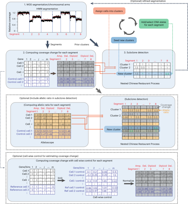 Cancer subclone detection based on DNA copy number in single-cell and ...