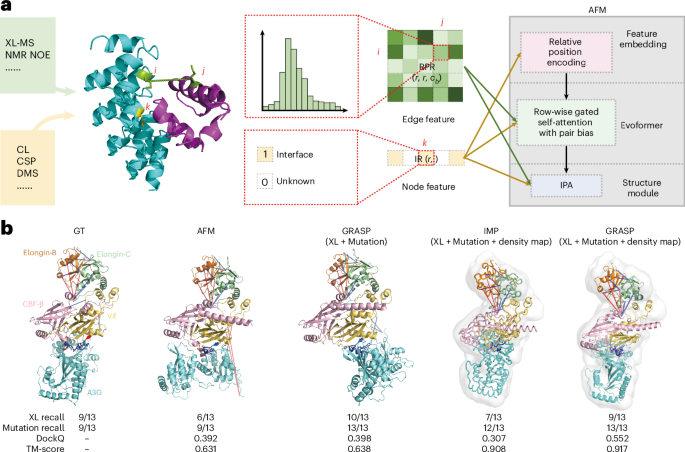 Improved structure prediction of protein complexes is within GRASP | Nature Methods
