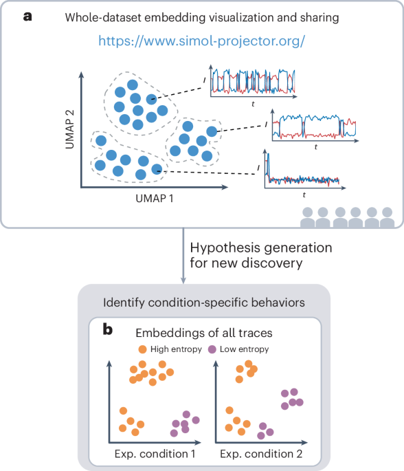 Machine learning for accelerating discovery from single-molecule data ...