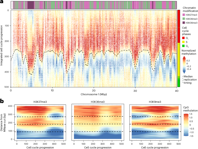 Mapping chromatin and DNA methylation landscapes at single-cell and ...