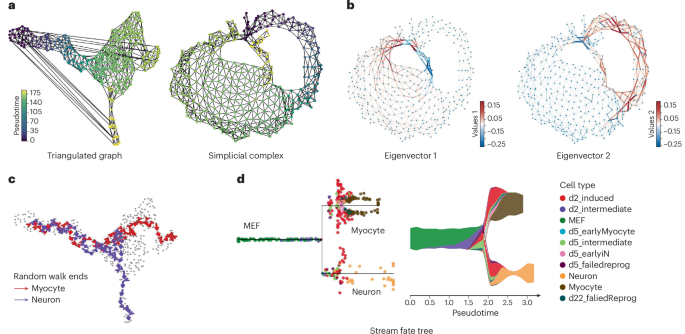 The Hodge Laplacian advances inference of single-cell trajectories | Nature Methods