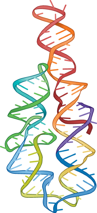 Predicting RNA structures | Nature Methods