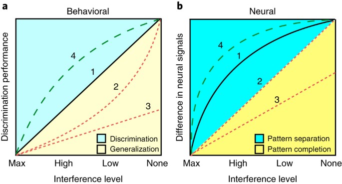 Integrating new findings and examining clinical applications of pattern ...