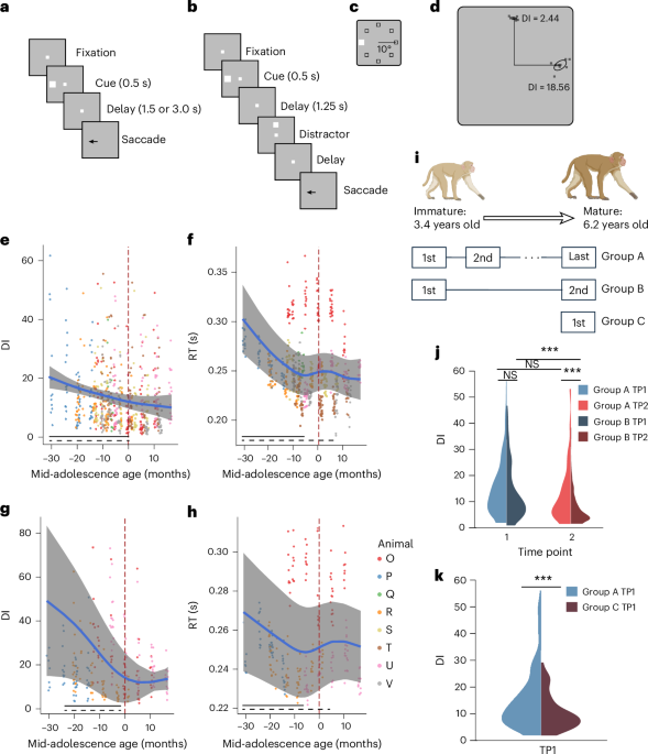 Longitudinal measures of monkey brain structure and activity through ...