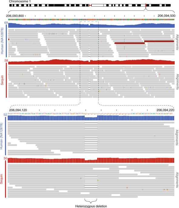 Use of synthetic DNA spike-in controls (sequins) for human genome ...