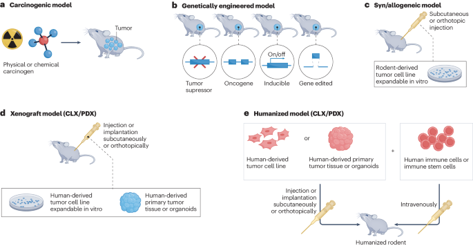 The OBSERVE guidelines provide refinement criteria for rodent oncology ...