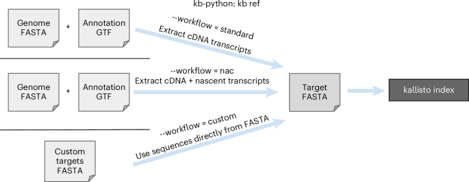 kallisto, bustools and kb-python for quantifying bulk, single-cell and ...