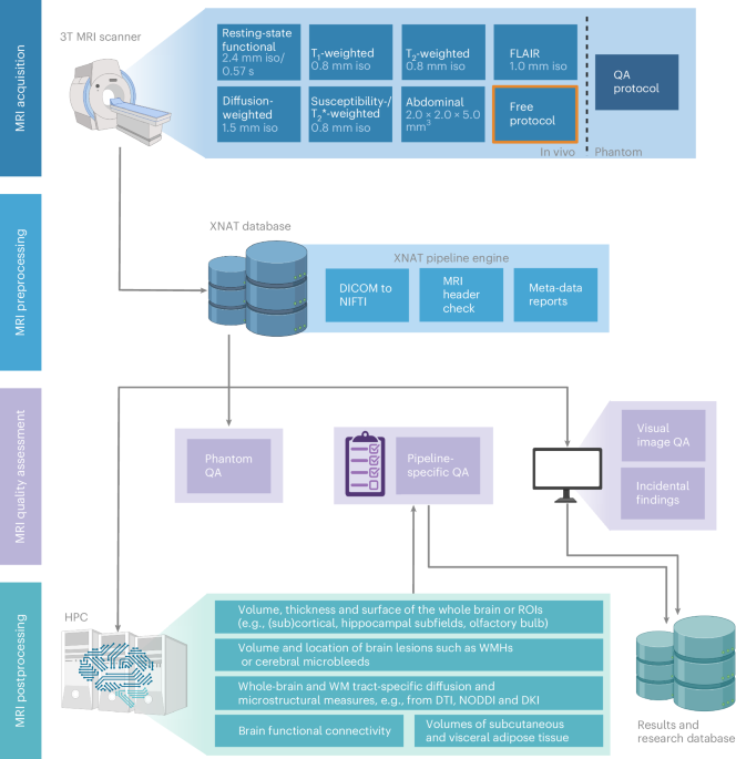 Versatile MRI acquisition and processing protocol for population-based neuroimaging | Nature ...