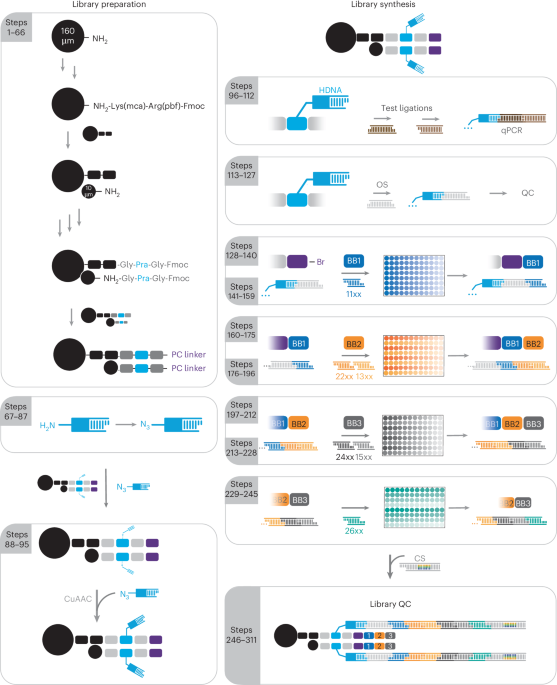 Solid-phase DNA-encoded library synthesis: a master builder’s ...