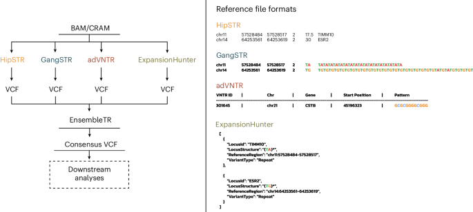 A practical guide to identifying associations between tandem repeats and complex human traits ...