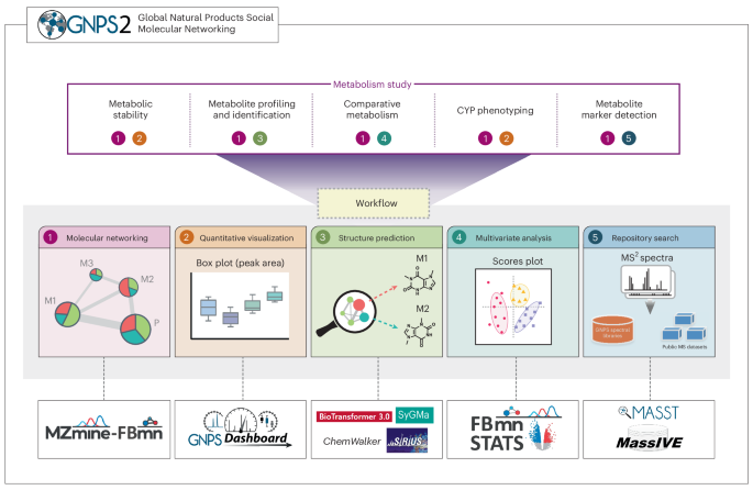 A versatile toolkit for drug metabolism studies with GNPS2: from drug development to clinical ...