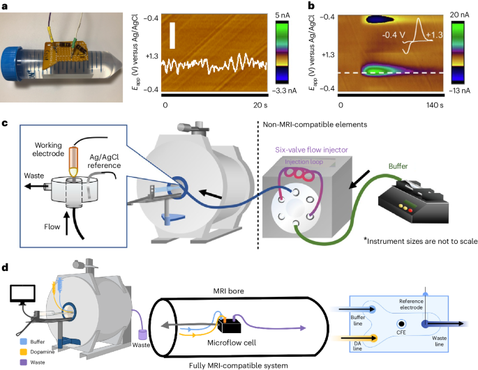 Measurement of electrochemical brain activity with fast-scan cyclic voltammetry during ...