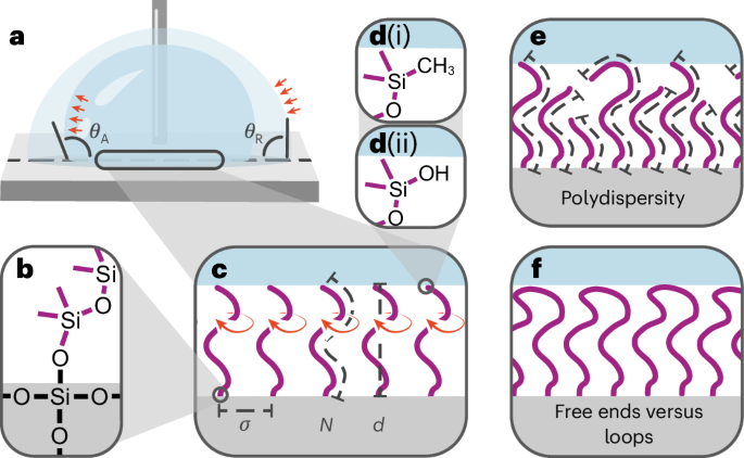 Comparing methods for preparing slippery liquid-like ...