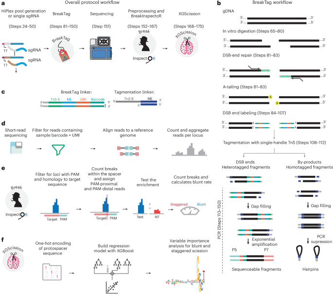 Multilevel characterization of genome editor nuclease activity with ...