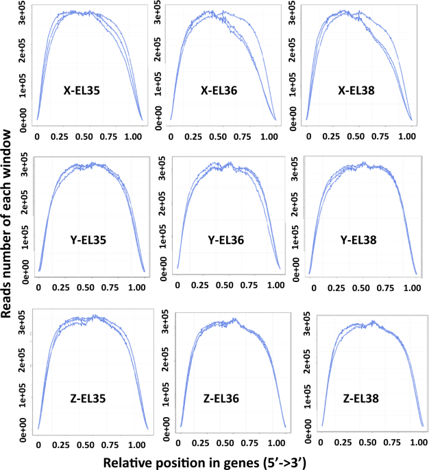 Transcriptome profiles of three Muscat table grape cultivars to dissect ...