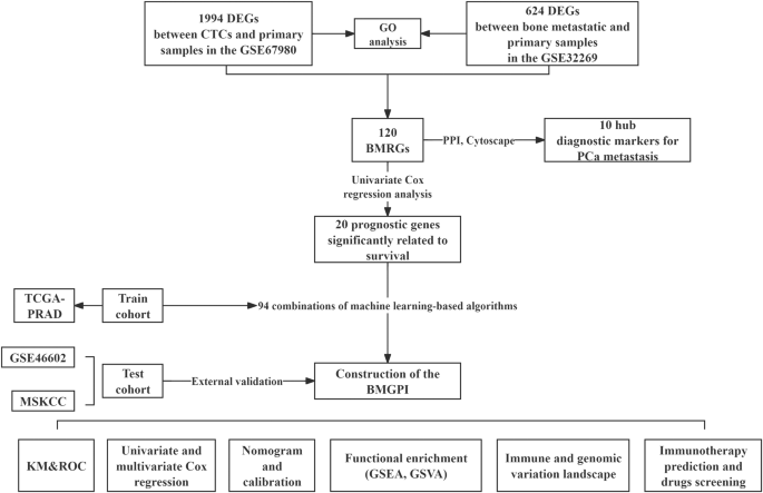 Integrated machine learning algorithms reveal a bone metastasis-related ...