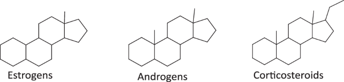 Innovative molecular networking analysis of steroids and ...