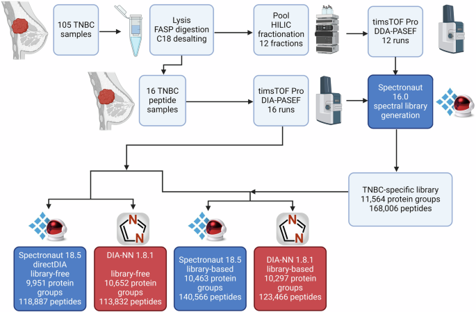 A hybrid DDA/DIA-PASEF based assay library for a deep proteotyping of triple-negative breast ...