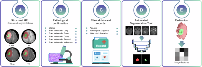 A Multi-Center, Multi-Parametric MRI Dataset of Primary and Secondary Brain Tumors | Scientific Data