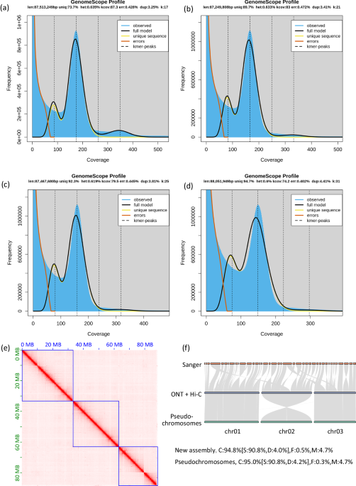 Chromosome-level genome assembly of the two-spotted spider mite ...