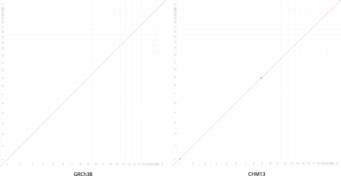 A reference quality, fully annotated diploid genome from a Saudi ...