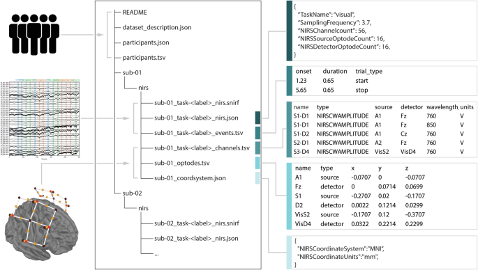 NIRS-BIDS: Brain Imaging Data Structure Extended to Near-Infrared Spectroscopy | Scientific Data