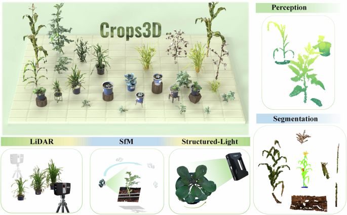 Crops3D: a diverse 3D crop dataset for realistic perception and ...