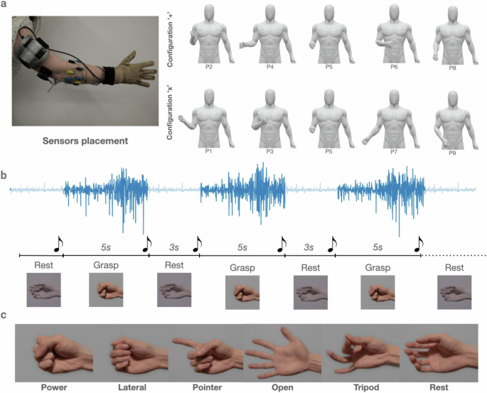 EMG Dataset for Gesture Recognition with Arm Translation | Scientific Data