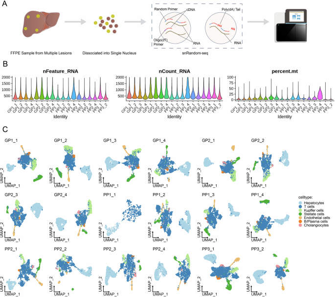 snRNA-seq of long-preserved FFPE samples from colorectal liver ...