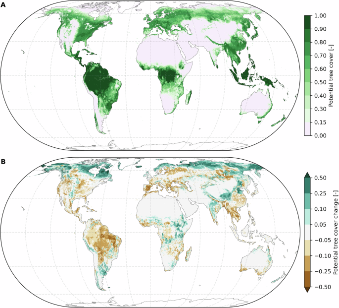 Potential tree cover under current and future climate scenarios ...