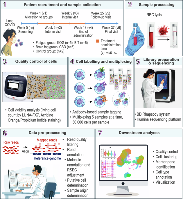 A single-cell RNA sequencing dataset of peripheral blood cells in long ...