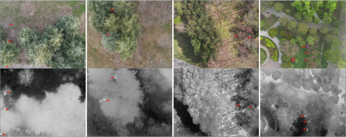An infrared dataset for partially occluded person detection in complex ...