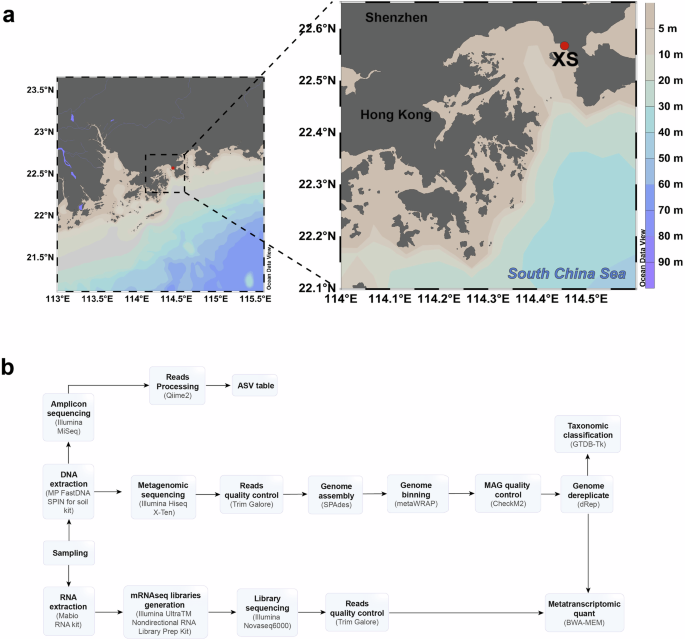 Multi-omic stock of surface ocean microbiome built by monthly, weekly and daily sampling in ...
